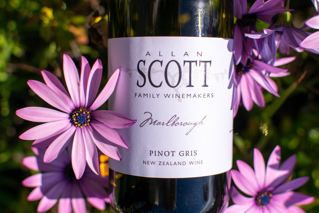 Allan Scott Marlborough Pinot Gris 2026